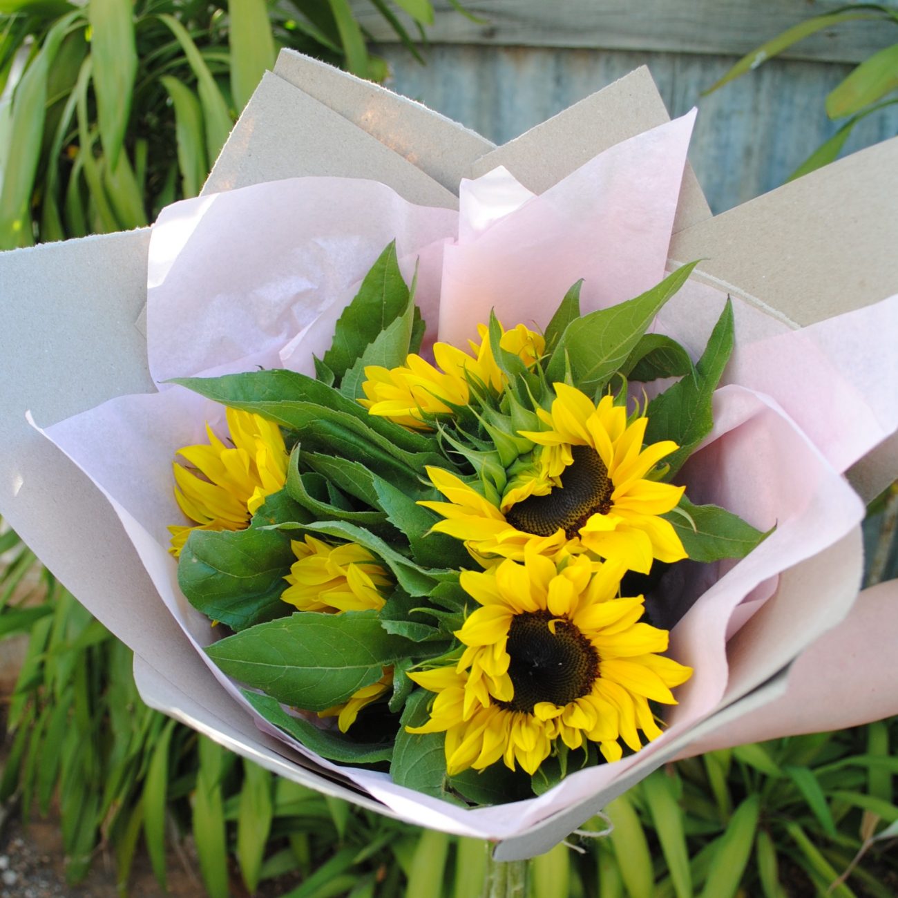 The Market Bunch - The Local Bunch